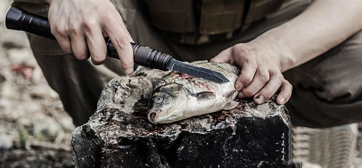 Tactical Survival Walking Stick